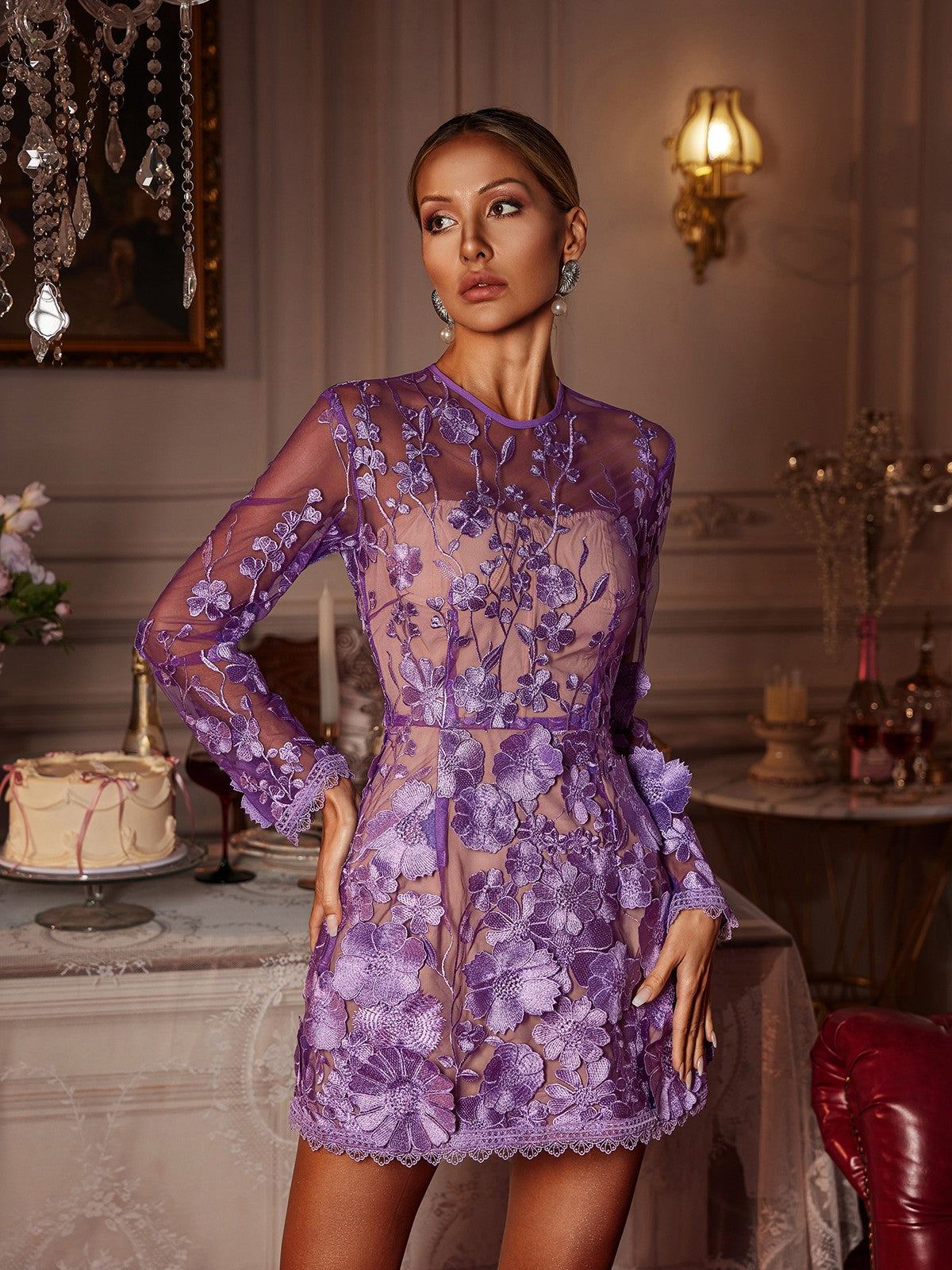 Dallan Long Sleeve Floral Embroidered Mini Dress – Mew Mews